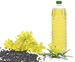 Von Vorteil für Verbraucher und Wirtschaft: Vorfrittieren mit Rapsöl